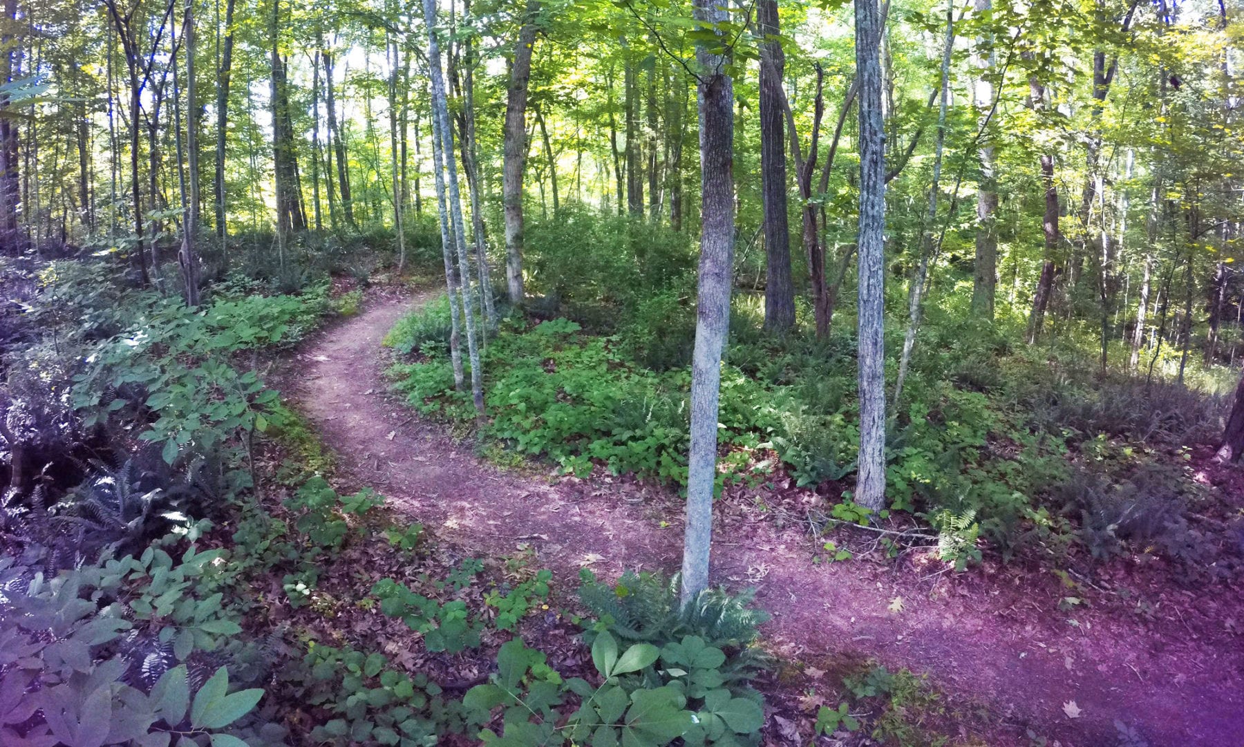 cropped-IMG_5669-copy.jpg – Nature Trails