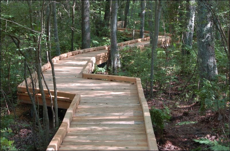 Boardwalk – Nature Trails