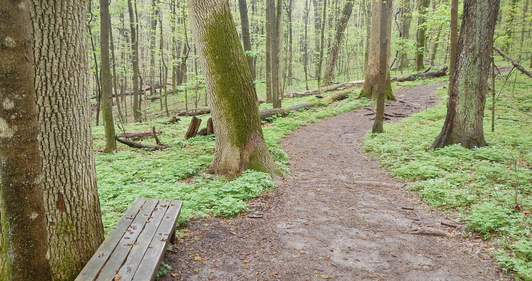 sample_trail_header – Nature Trails