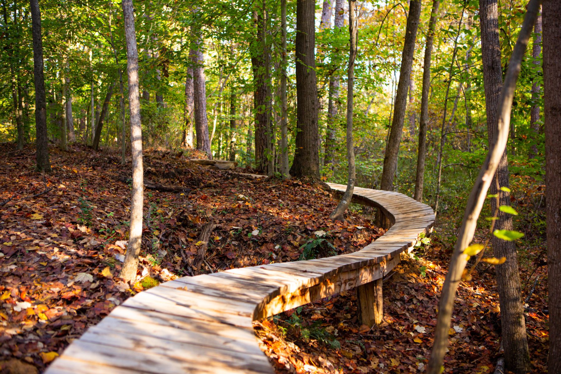 Projects – Nature Trails