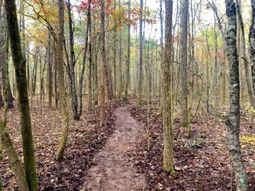 SIM USA ‘Back 40’ Trail Master Plan – Nature Trails